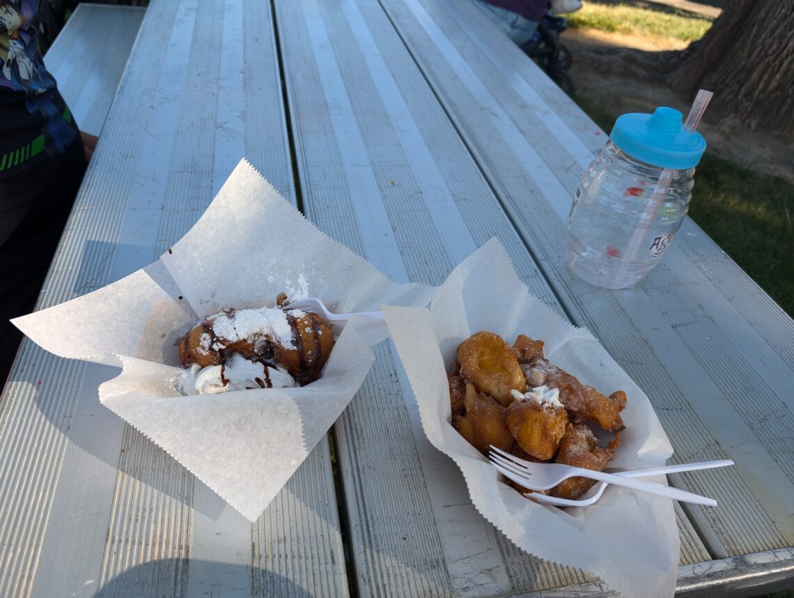 Our County Fair Recap • Daily Valencia